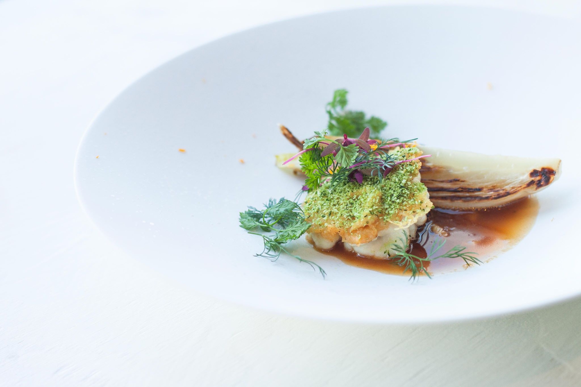 TOYO JAPAN 株式会社